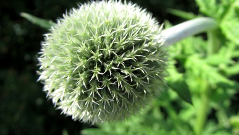 Verse of the Day | April 13 | News Fort - Your choice for NEWS